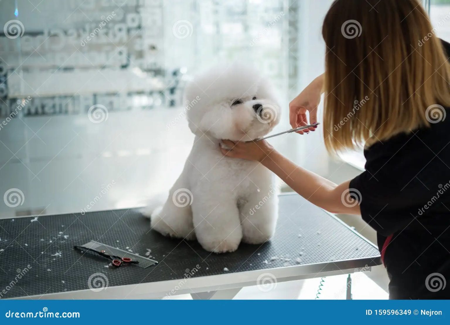 Halo Pet Grooming – pet grooming